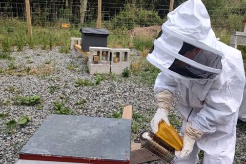 Beekeeper Certification: Level 3 Advanced Beekeeper - Keystone College